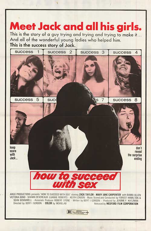 How To Succeed With Sex 1208