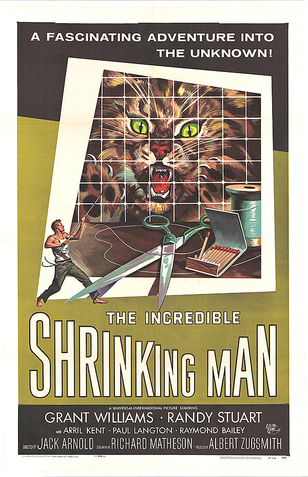 Incredible Shrinking Man