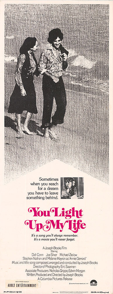 You Light Up My Life