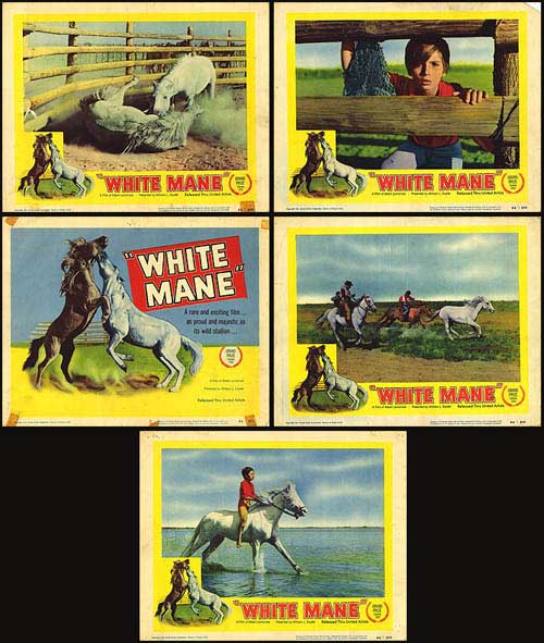 White Mane
