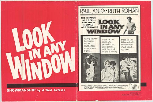 Look In Any Window