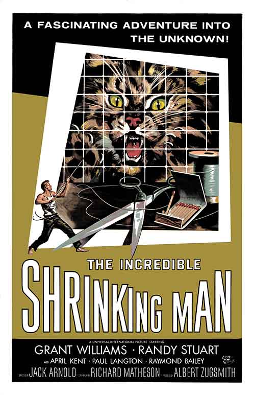 Incredible Shrinking Man