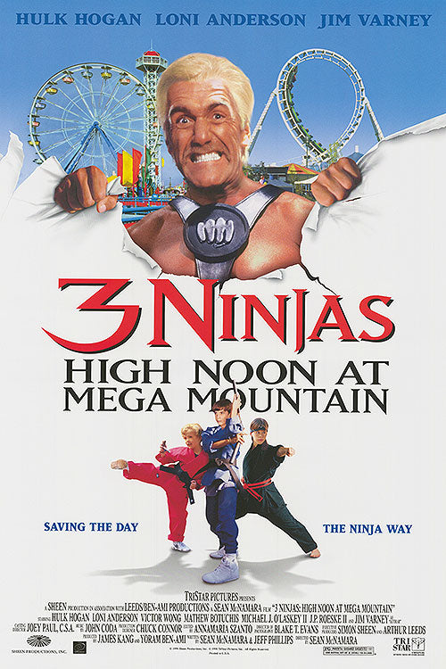 3 Ninjas Movie Poster