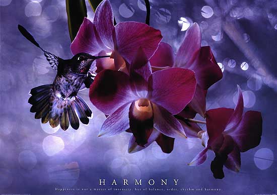 Harmony