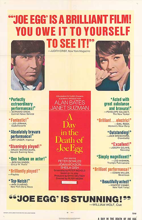 Day In The Death Of Joe Egg