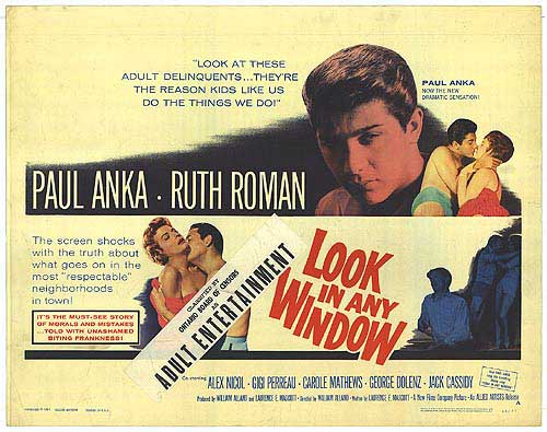 Look In Any Window