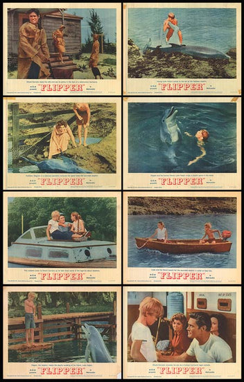Flipper