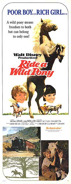 Ride A Wild Pony