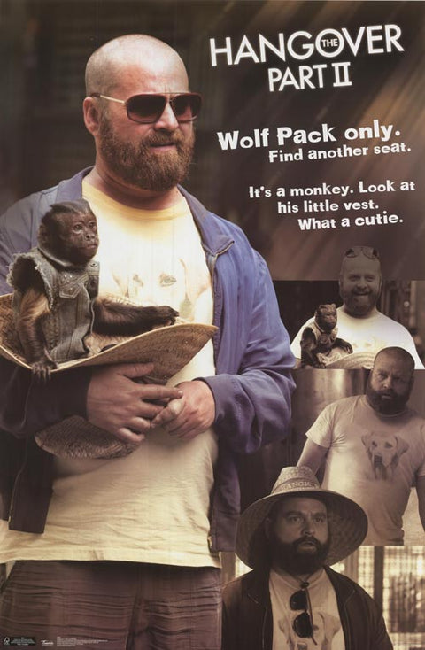 The Hangover Part Ii Poster