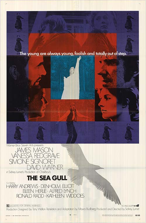 Sea Gull